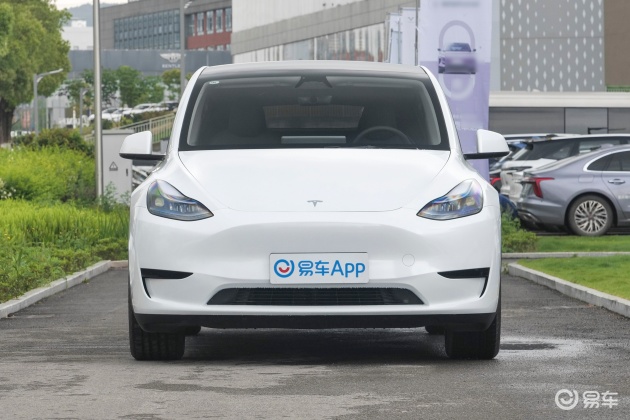 特斯拉是双踏板吗_易车