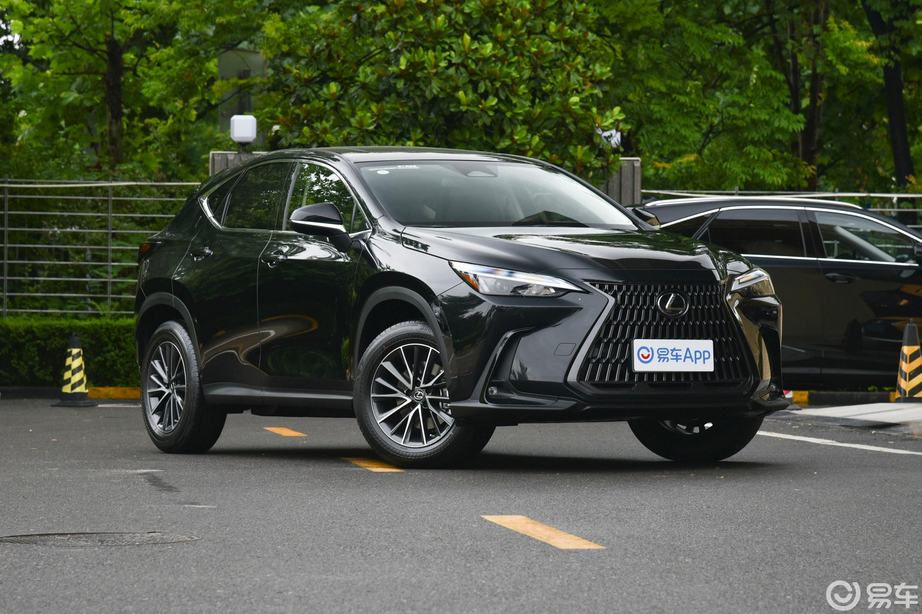 【雷克萨斯NX260 两驱 创悦版侧前45度车头向右水平图片-汽车图片大全】-易车