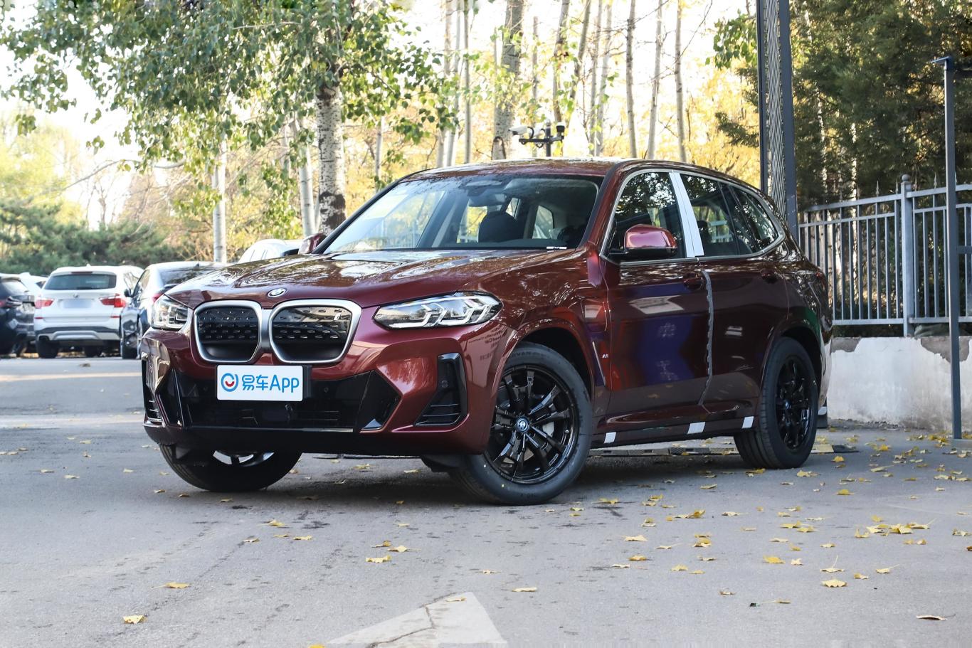 【宝马iX3改款 550km 领先型侧前45度车头向左水平图片-汽车图片大全】-易车