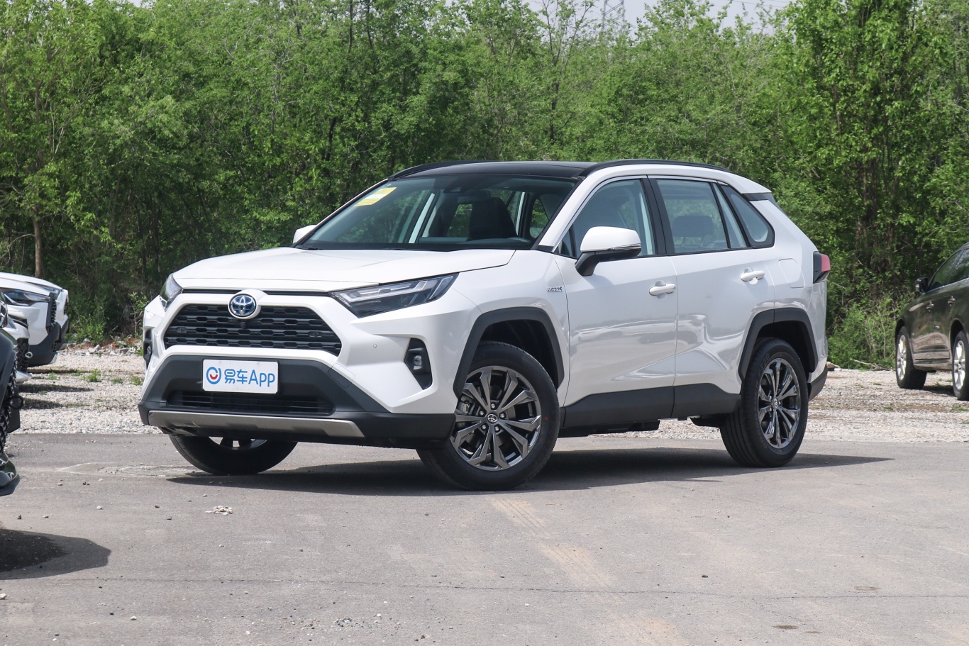 【RAV4荣放双擎 2.5L 两驱精英PLUS版侧前45度车头向左水平图片-汽车图片大全】-易车