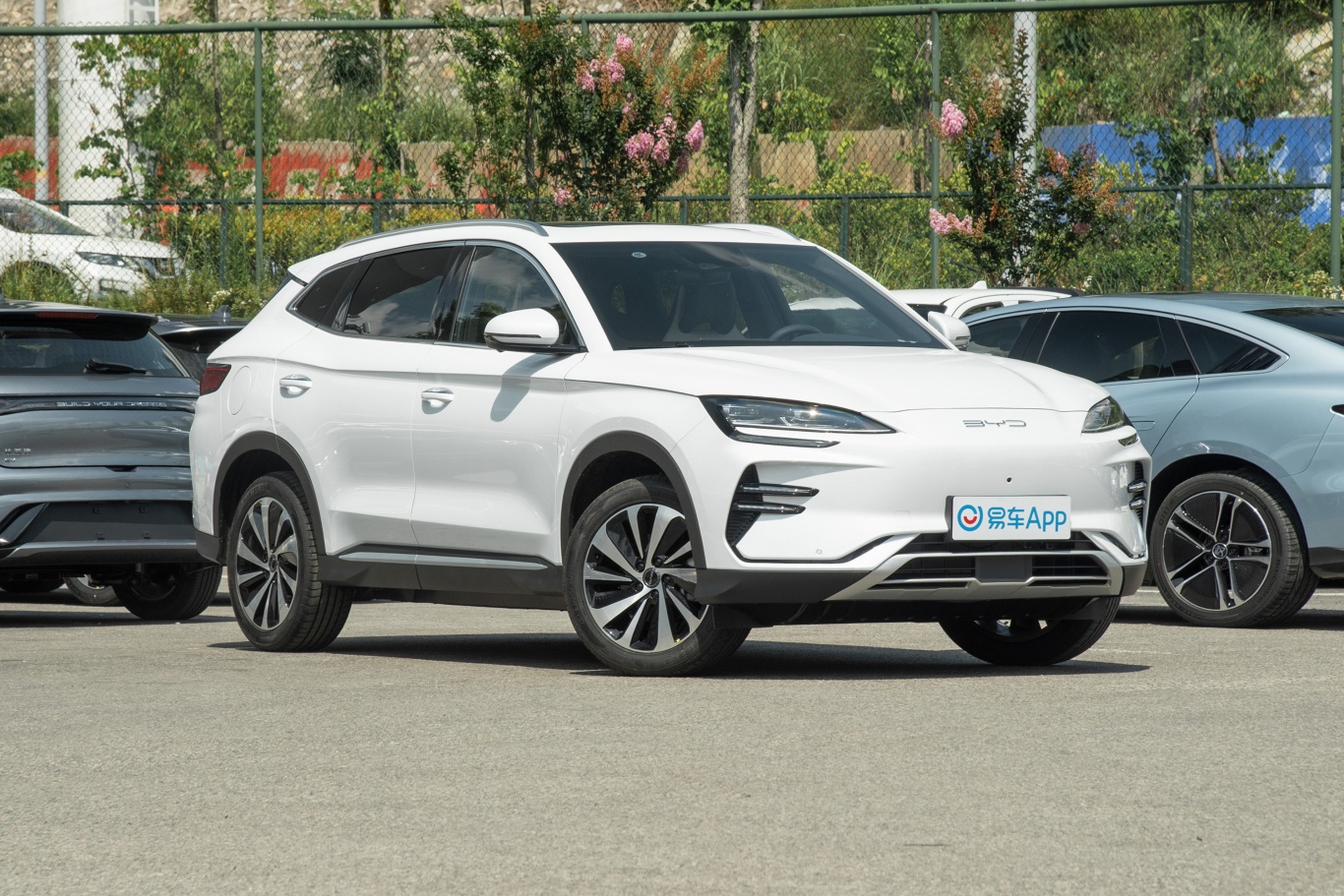 【宋PLUS新能源EV 冠军版 520km 尊贵型侧前45度车头向右水平图片-汽车图片大全】-易车