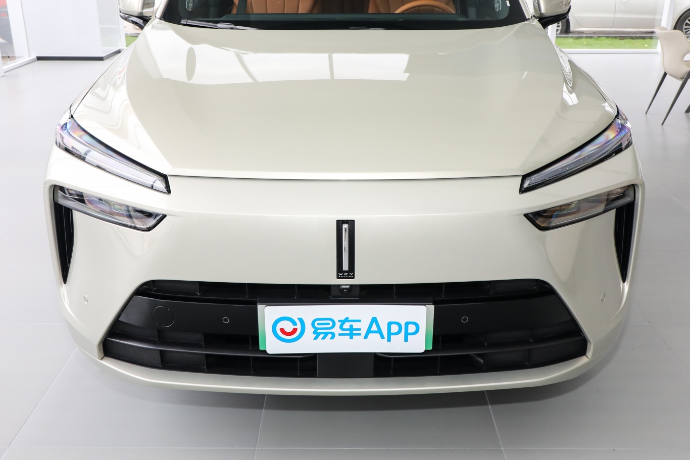 【魏牌蓝山1.5T 153km 两驱长续航版外观细节图片-汽车图片大全】-易车