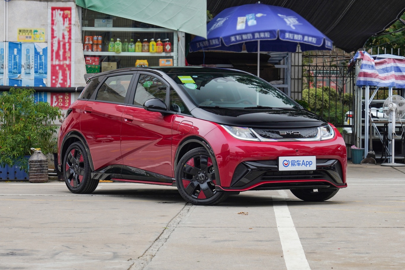 【海豚401km 50万纪念版Plus侧前45度车头向右水平图片-汽车图片大全】-易车