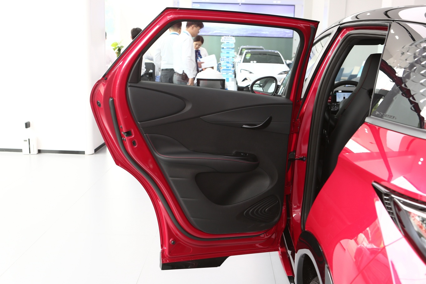 【海豚420km 50万纪念版Pro驾驶员侧后车门图片-汽车图片大全】-易车