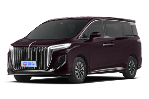 【红旗HQ92.0T 公务版侧前45度车头向左水平图片-汽车图片大全】-易车