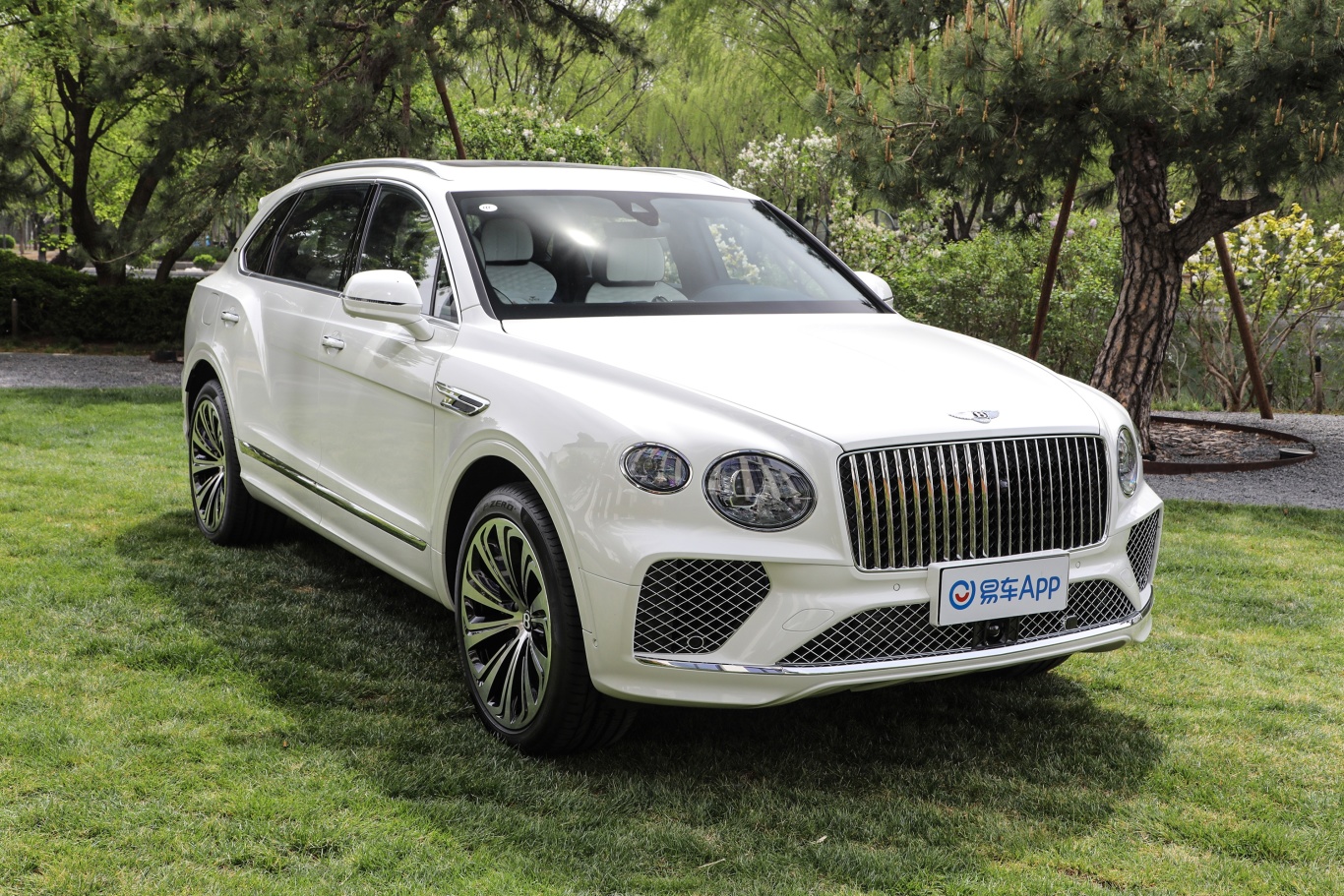 【添越4.0T V8 锦鲤版侧前45度车头向右水平图片-汽车图片大全】-易车